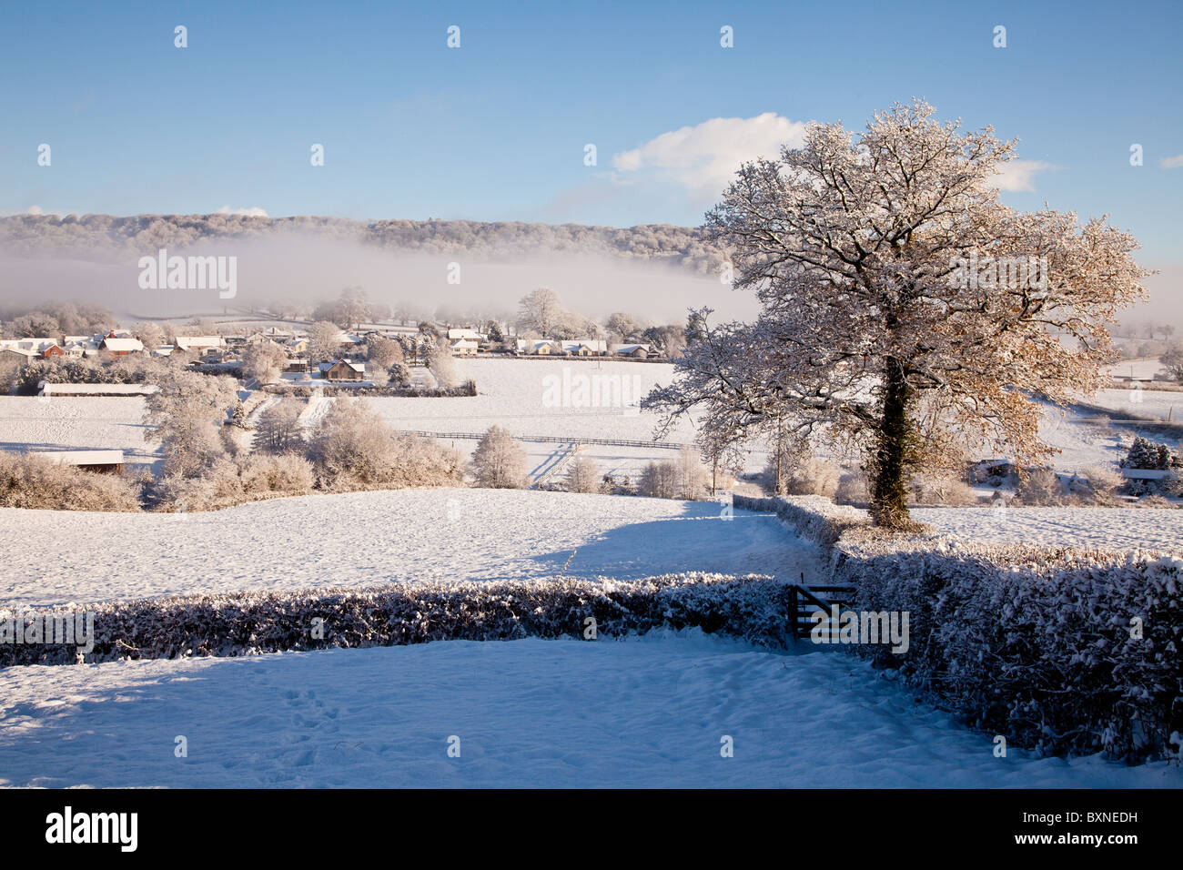 Snow-covered fields and village in rural East Devon Stock Photo - Alamy