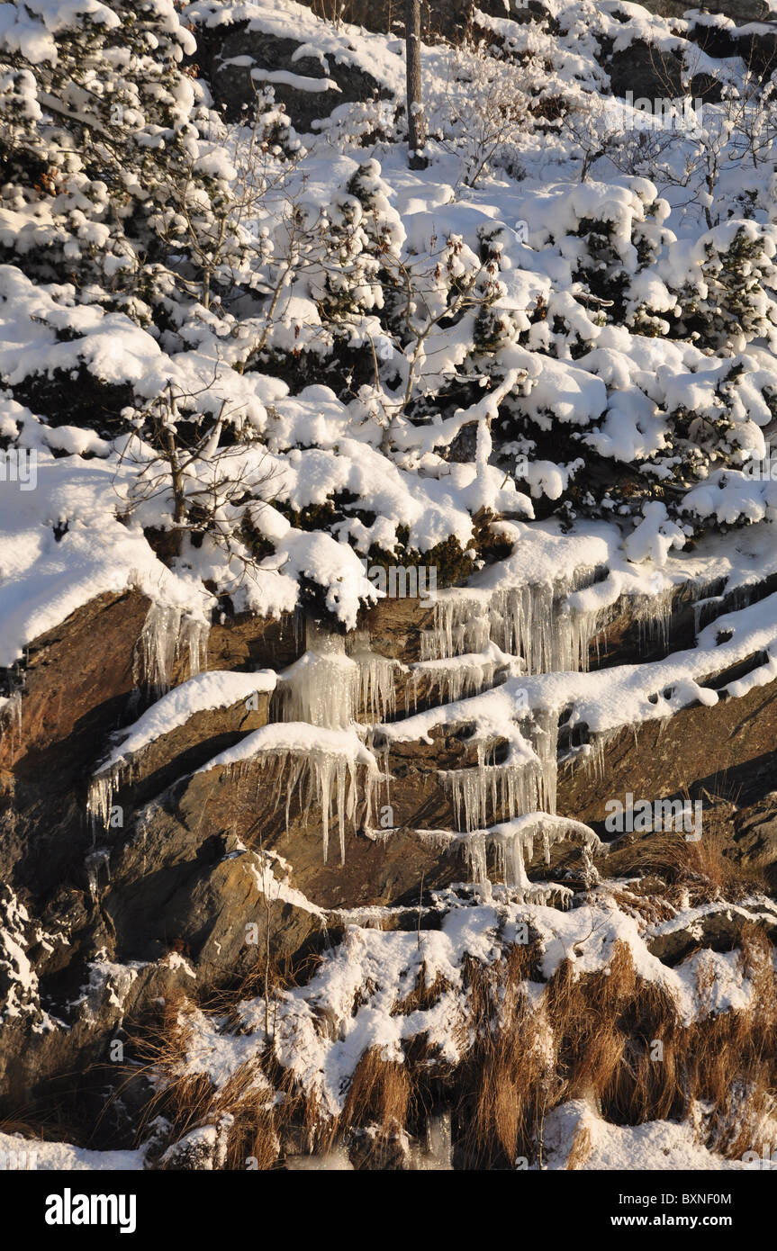 Small snow and ice-covered cliff, snow, winter, trees Stock Photo - Alamy