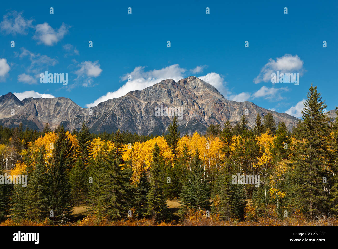 Pyramid Mountain, Jasper National Park, Alberta, Canada Stock Photo - Alamy
