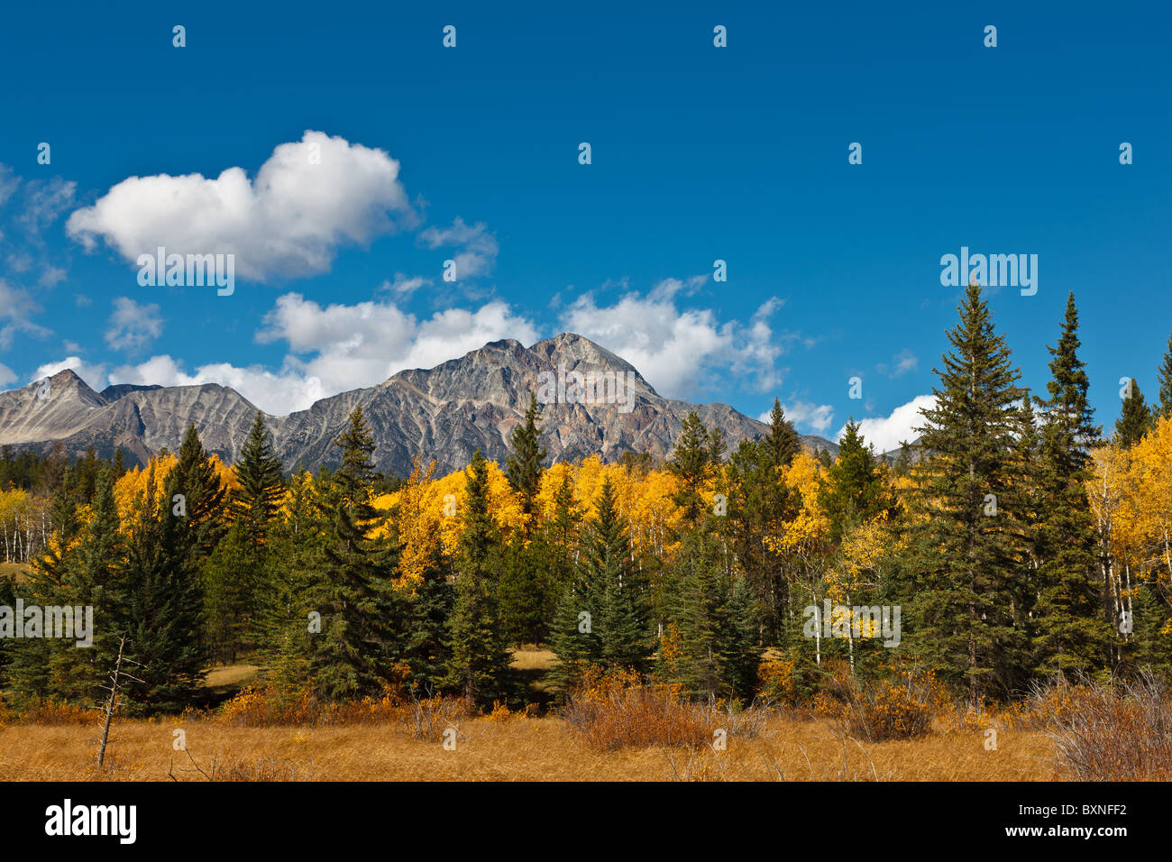 Pyramid mountain jasper national park hi-res stock photography and ...