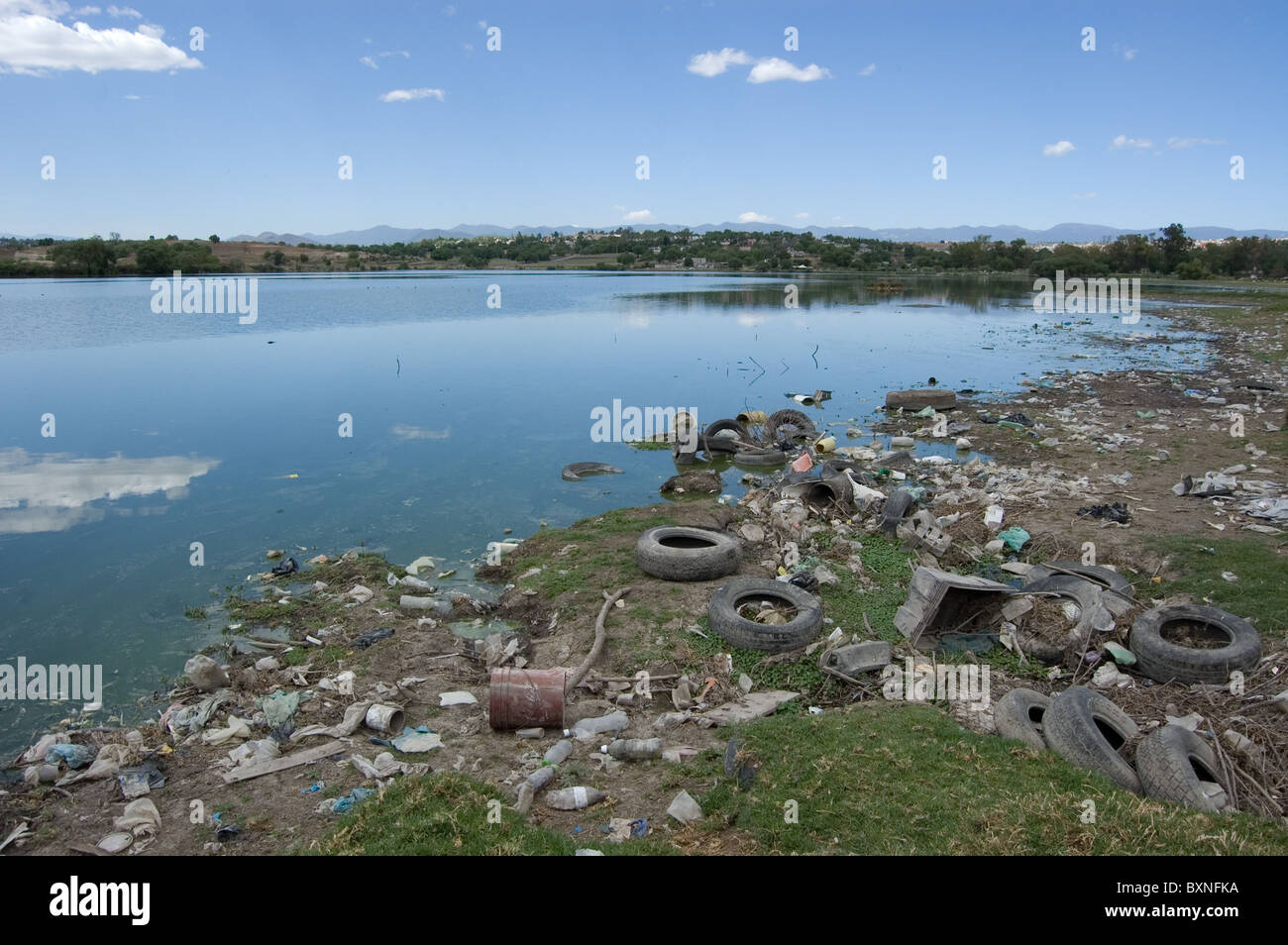 Polluted lake full of garbage in Mexico Stock Photo - Alamy