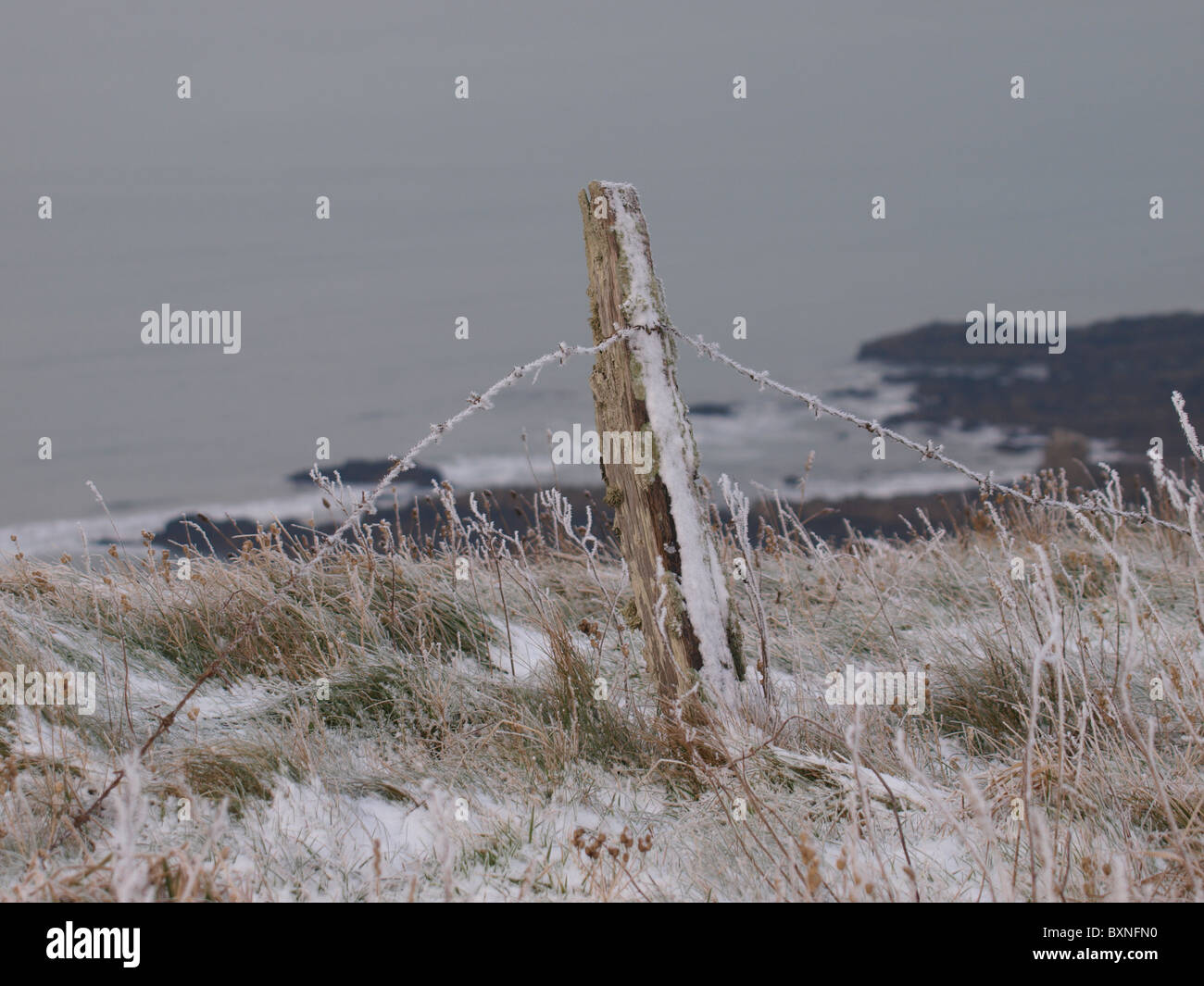 Old frozen fence post, Cornwall coast, UK Stock Photo - Alamy