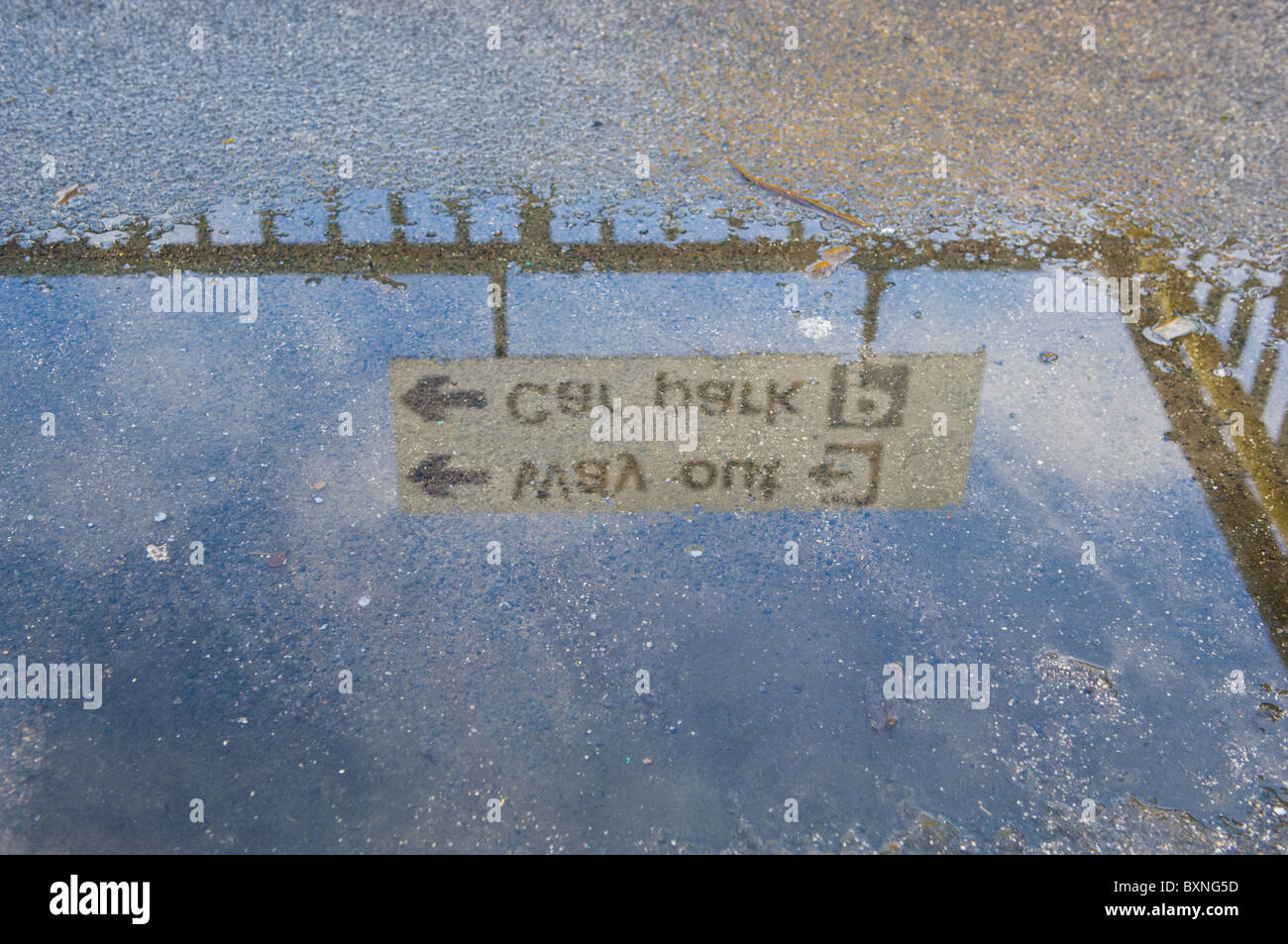 Reflection in a puddle of water of a sign showing the direction to the ...