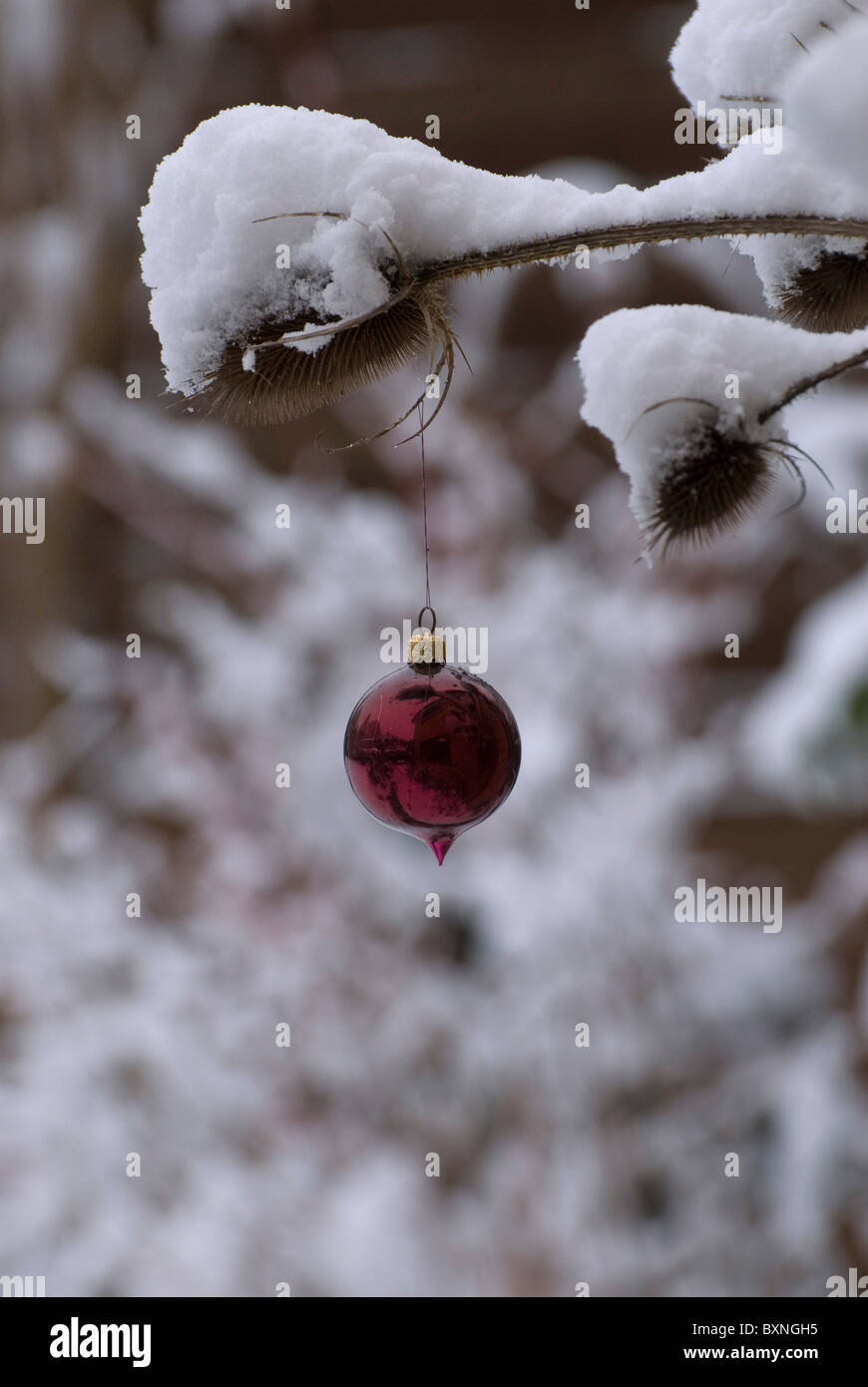 Lone bauble hi-res stock photography and images - Alamy