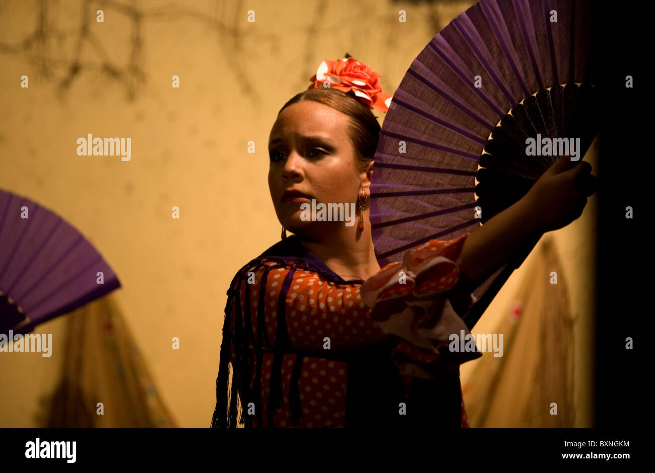 Flamenco Fan High Resolution Stock Photography and Images - Alamy