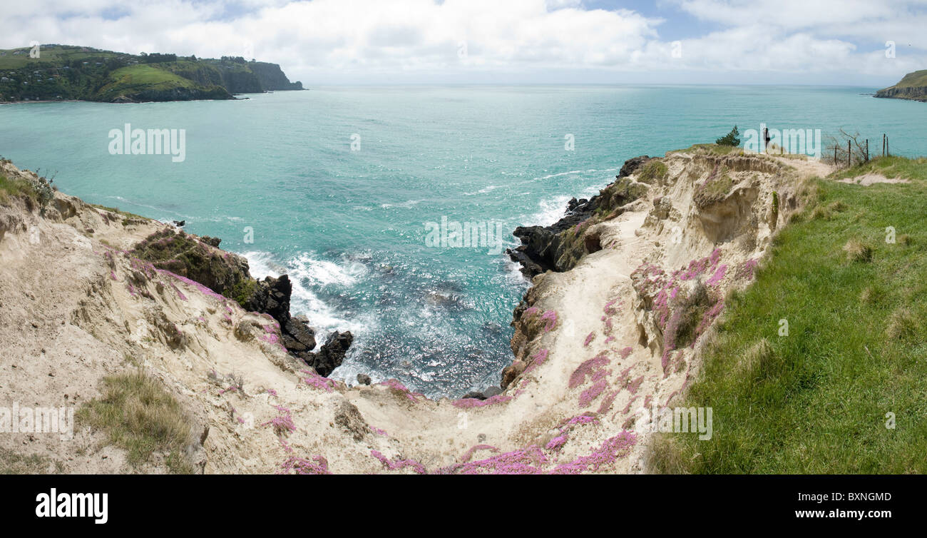 Banks peninsula new zealand hi-res stock photography and images - Alamy