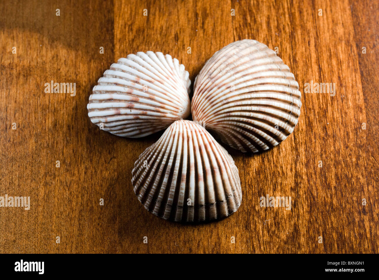 A varnished wooden table hi-res stock photography and images - Alamy