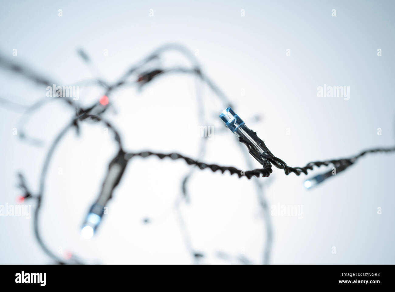 Light emitting diode christmas lights hi-res stock photography and ...