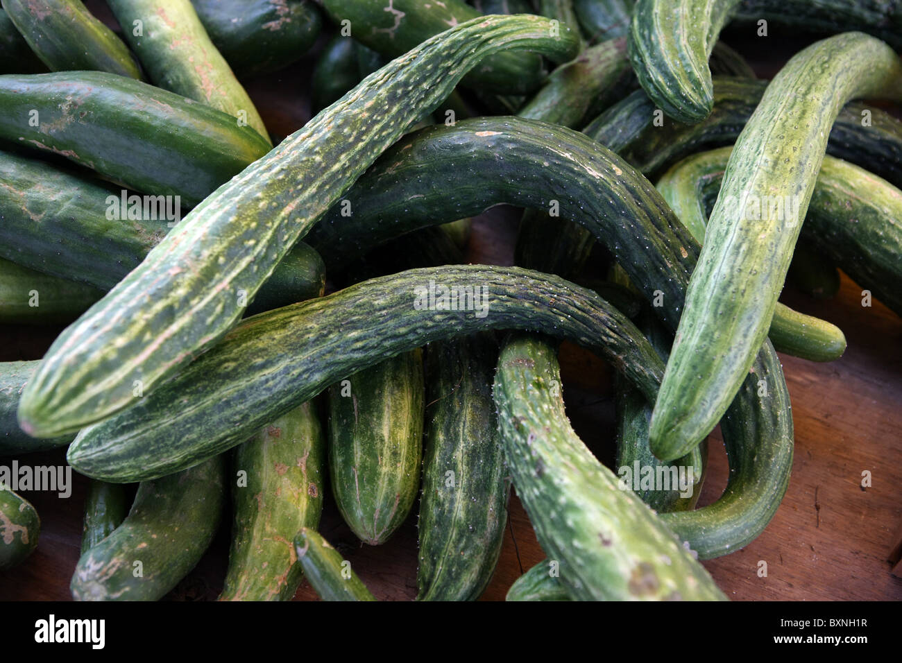 Locally grown English cucumbers sold at the farmers market in ...