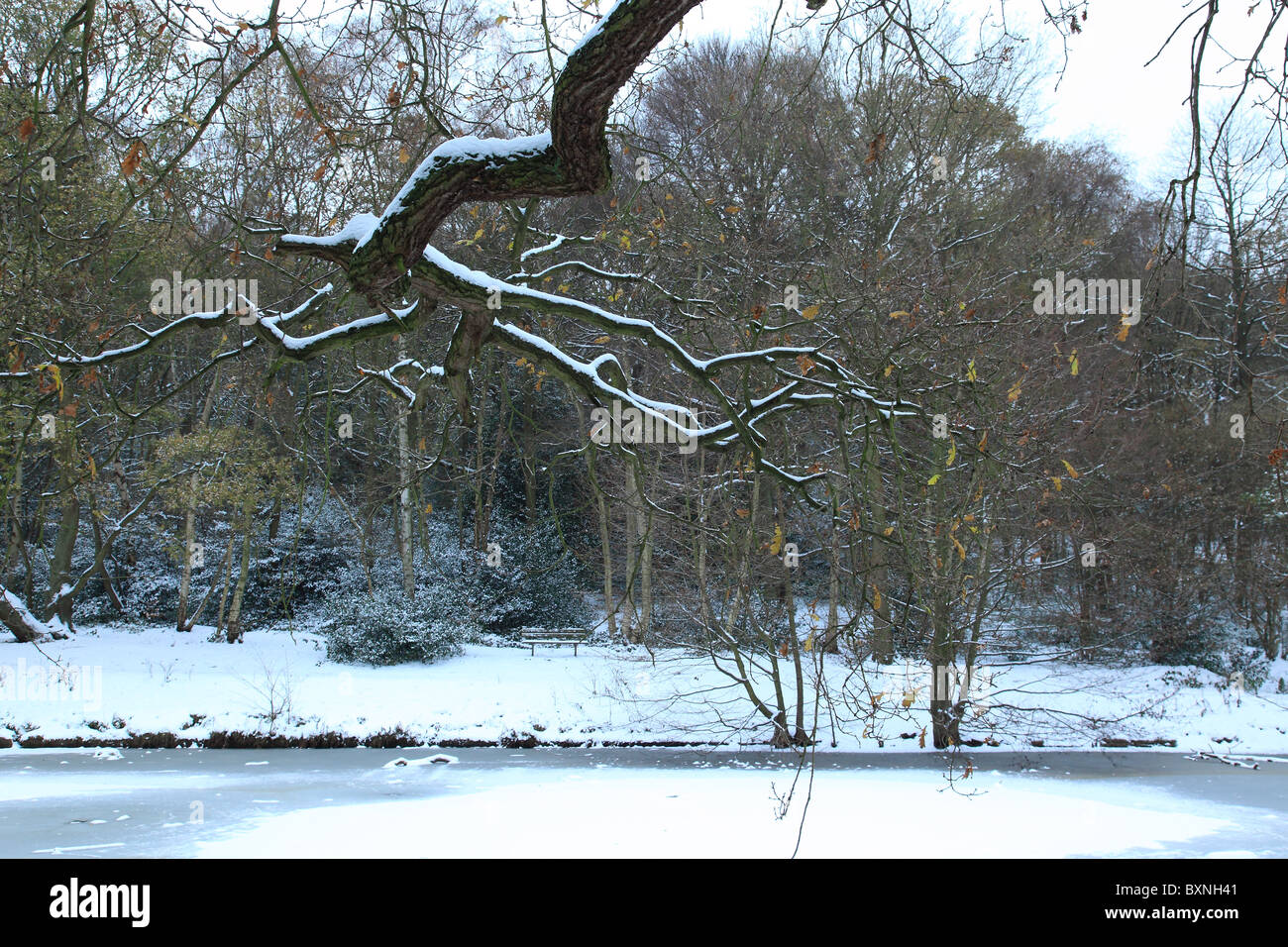 Wimbledon common pond hi-res stock photography and images - Alamy