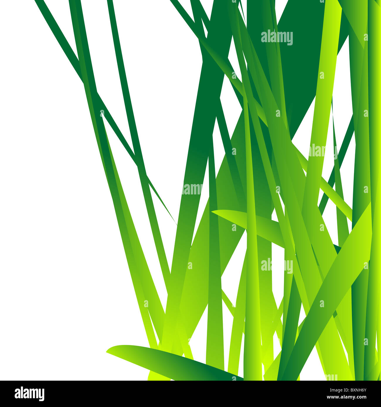 Green fresh grass view Cut Out Stock Images & Pictures - Alamy