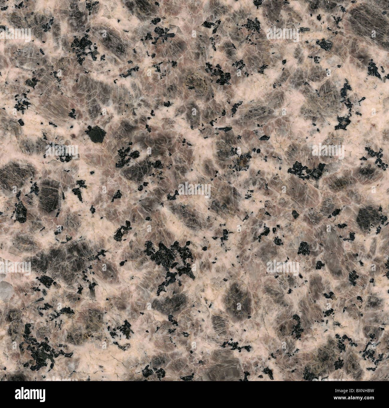 Italian granite texture Stock Photo - Alamy