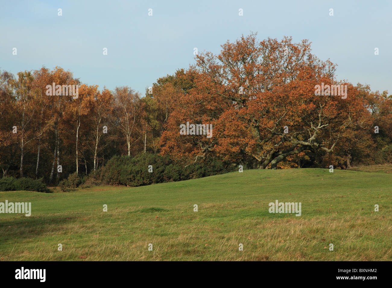 Royal Wimbledon Golf Club Course High Resolution Stock Photography and ...