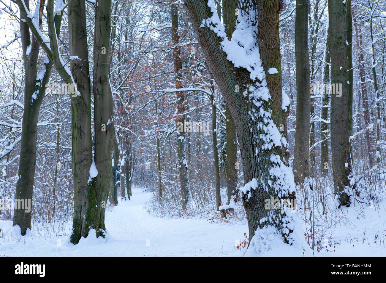 Sk15 311 hi-res stock photography and images - Alamy