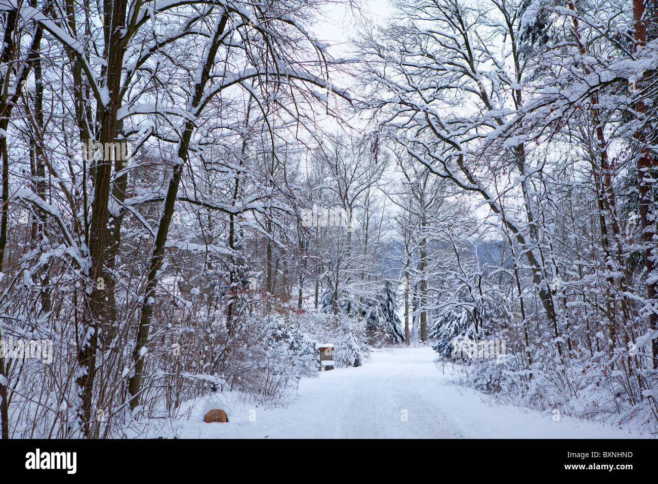 Sk15 314 hi-res stock photography and images - Alamy