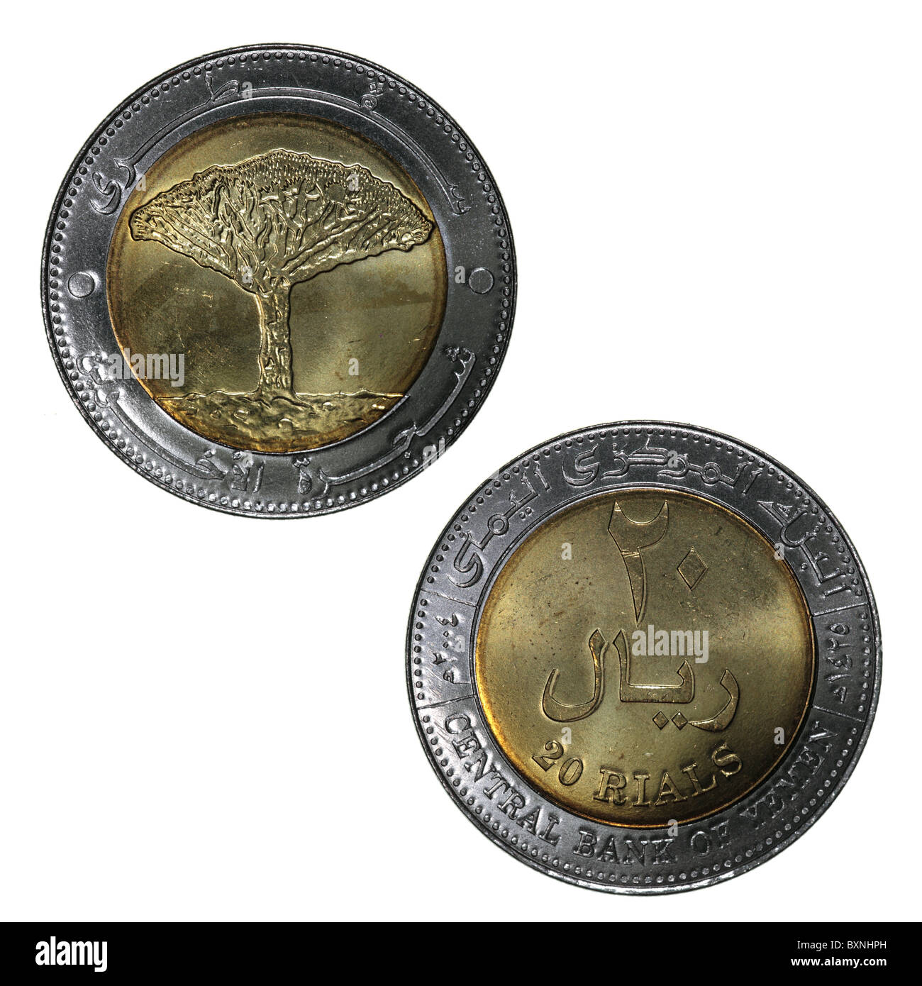 Dracaena cinnabari hi-res stock photography and images - Alamy