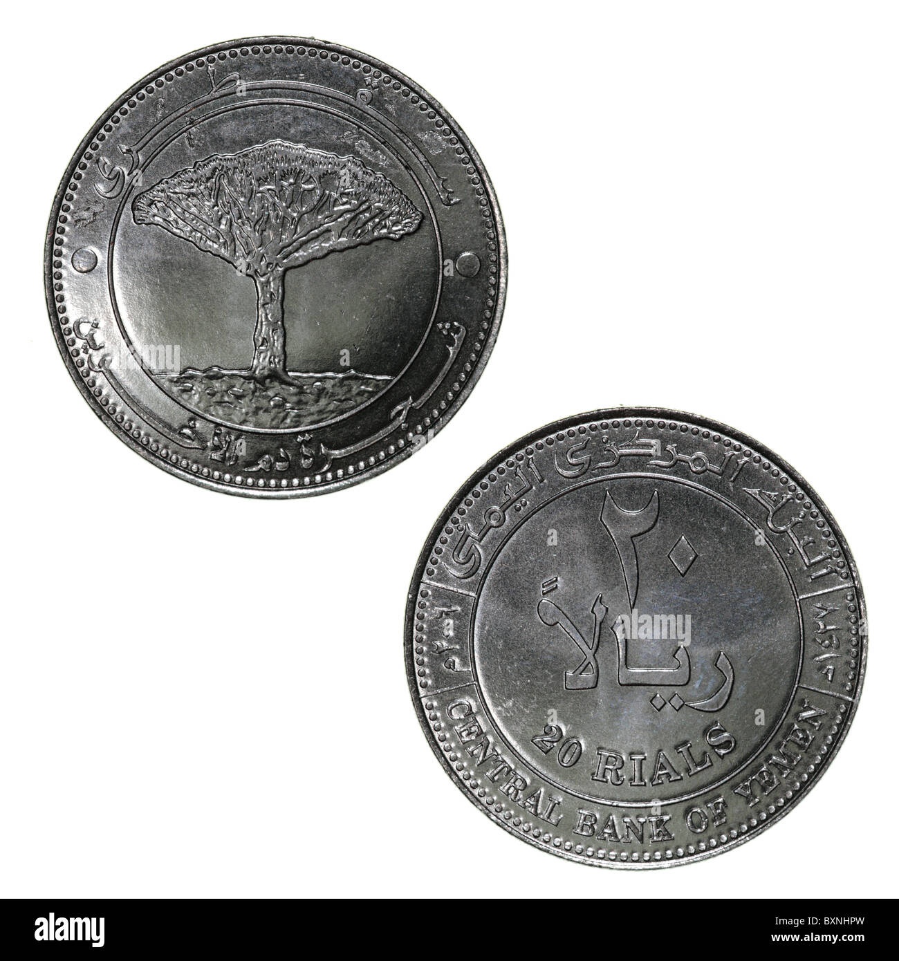 The blood tree of the two brothers Cut Out Stock Images & Pictures - Alamy