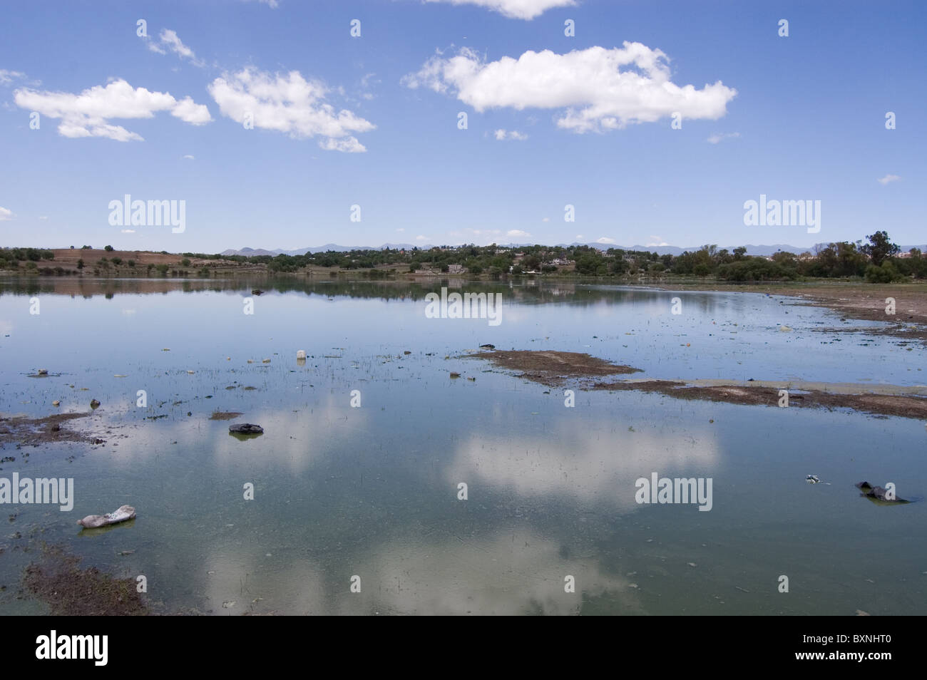 Lake with polluted water and garbage Stock Photo - Alamy