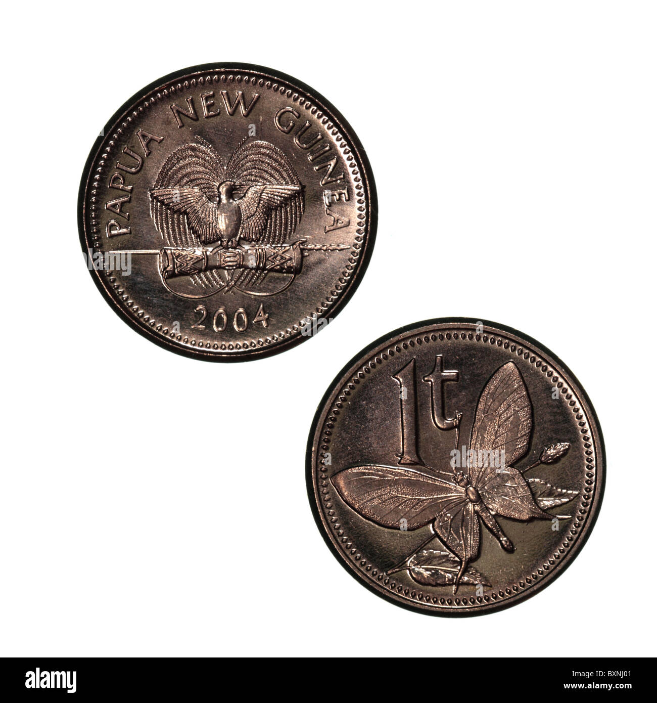 Paradise birdwing butterfly hi-res stock photography and images - Alamy