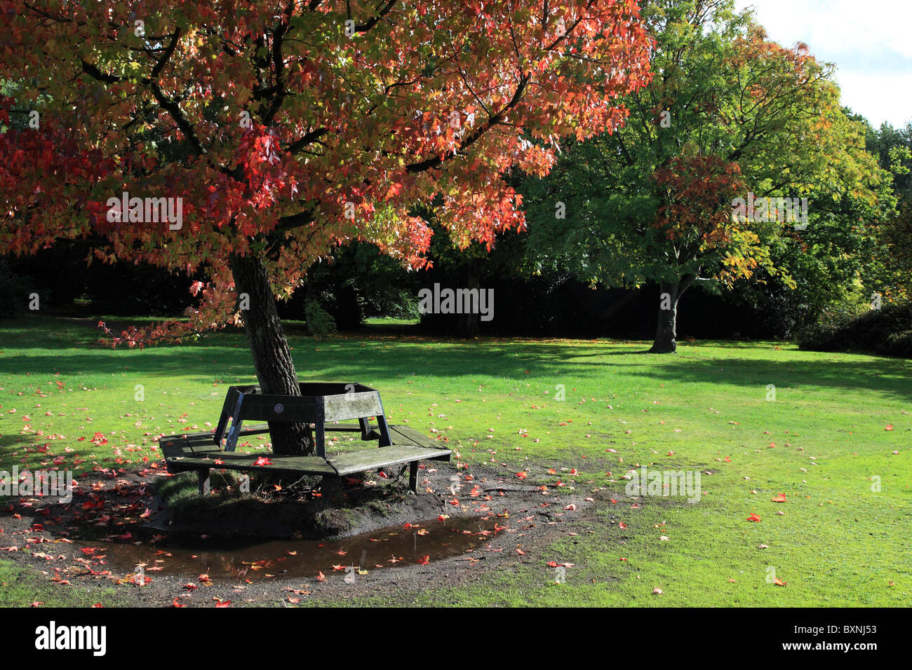 Cannizaro Park Wimbledon High Resolution Stock Photography and Images ...