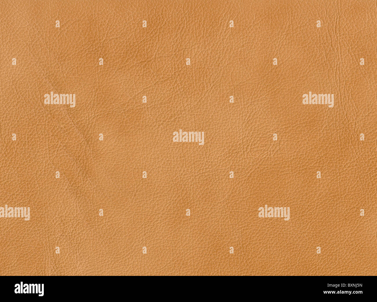 Color swatch sand hi-res stock photography and images - Alamy