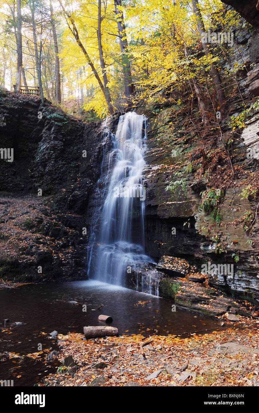 Waterfall in mountain with Autumn foliage and woods over rocks Stock ...