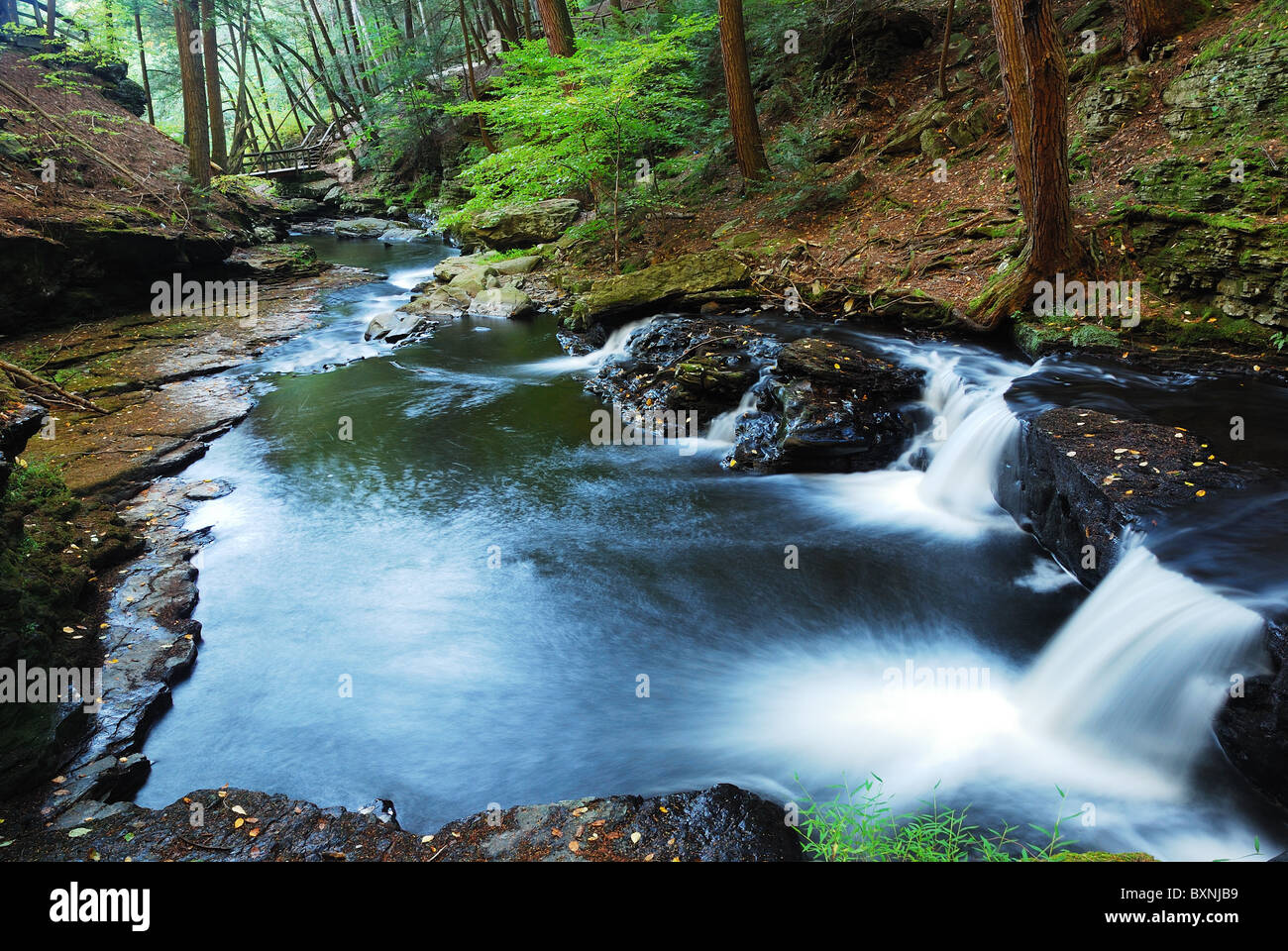 Creek and woods hi-res stock photography and images - Alamy