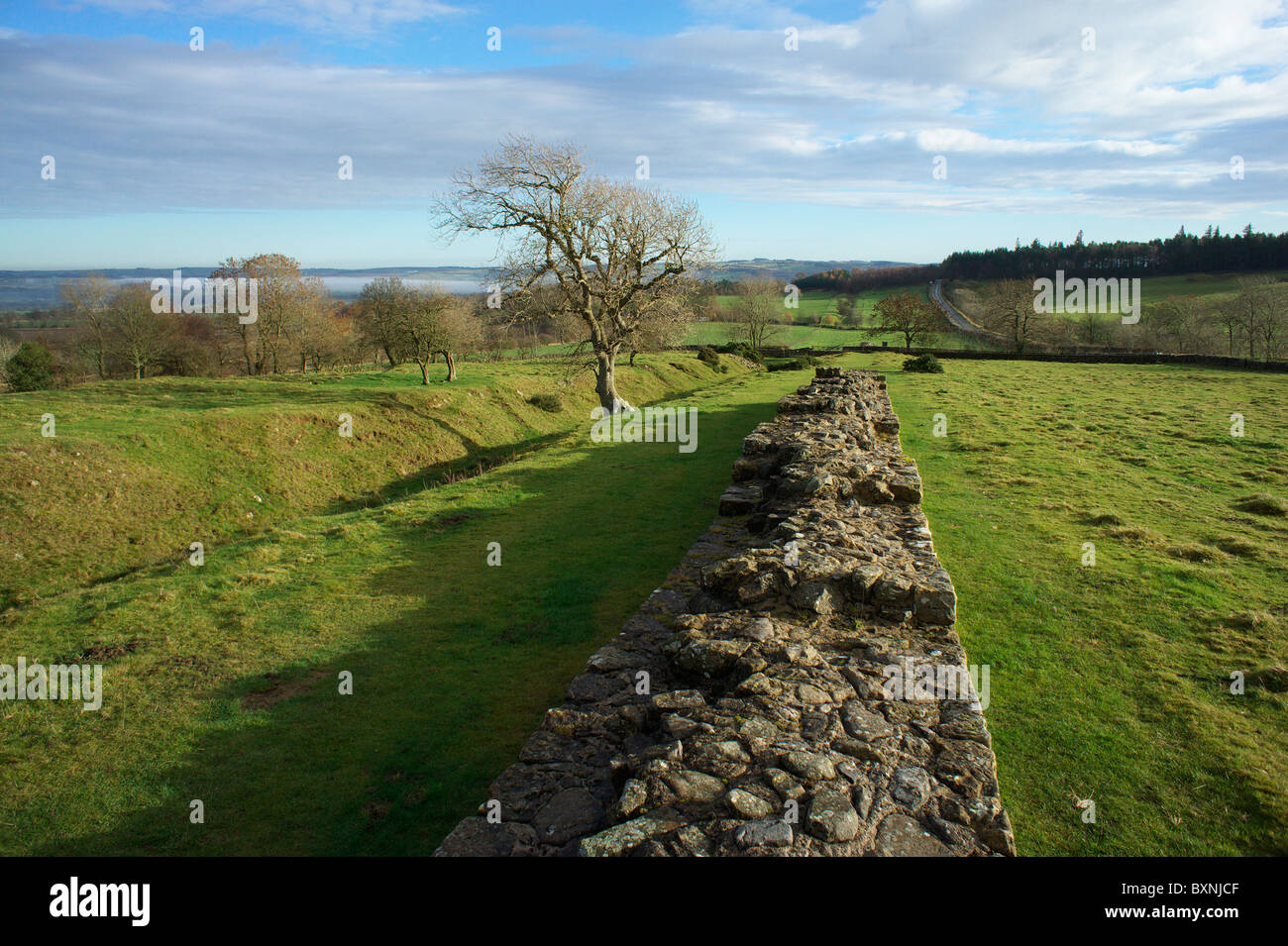 Hadrian's Wall remains and ditch to the west of Chesters Northumberland ...