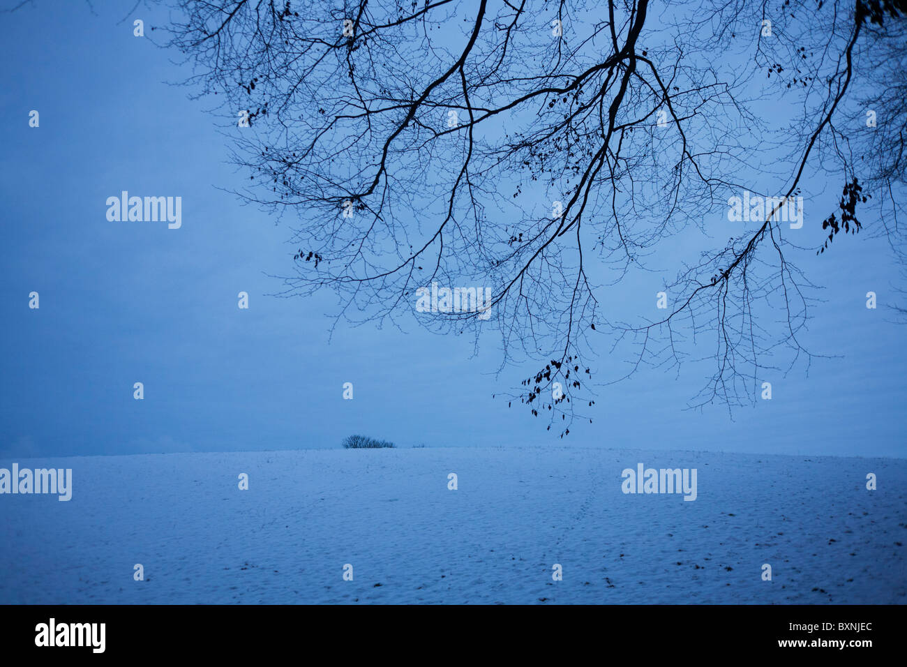 Bleak Landscape Stock Photos & Bleak Landscape Stock Images - Alamy