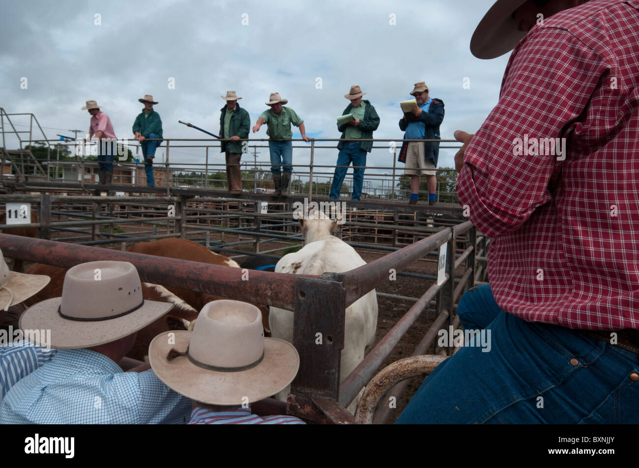 Gunnedah australia hi-res stock photography and images - Alamy