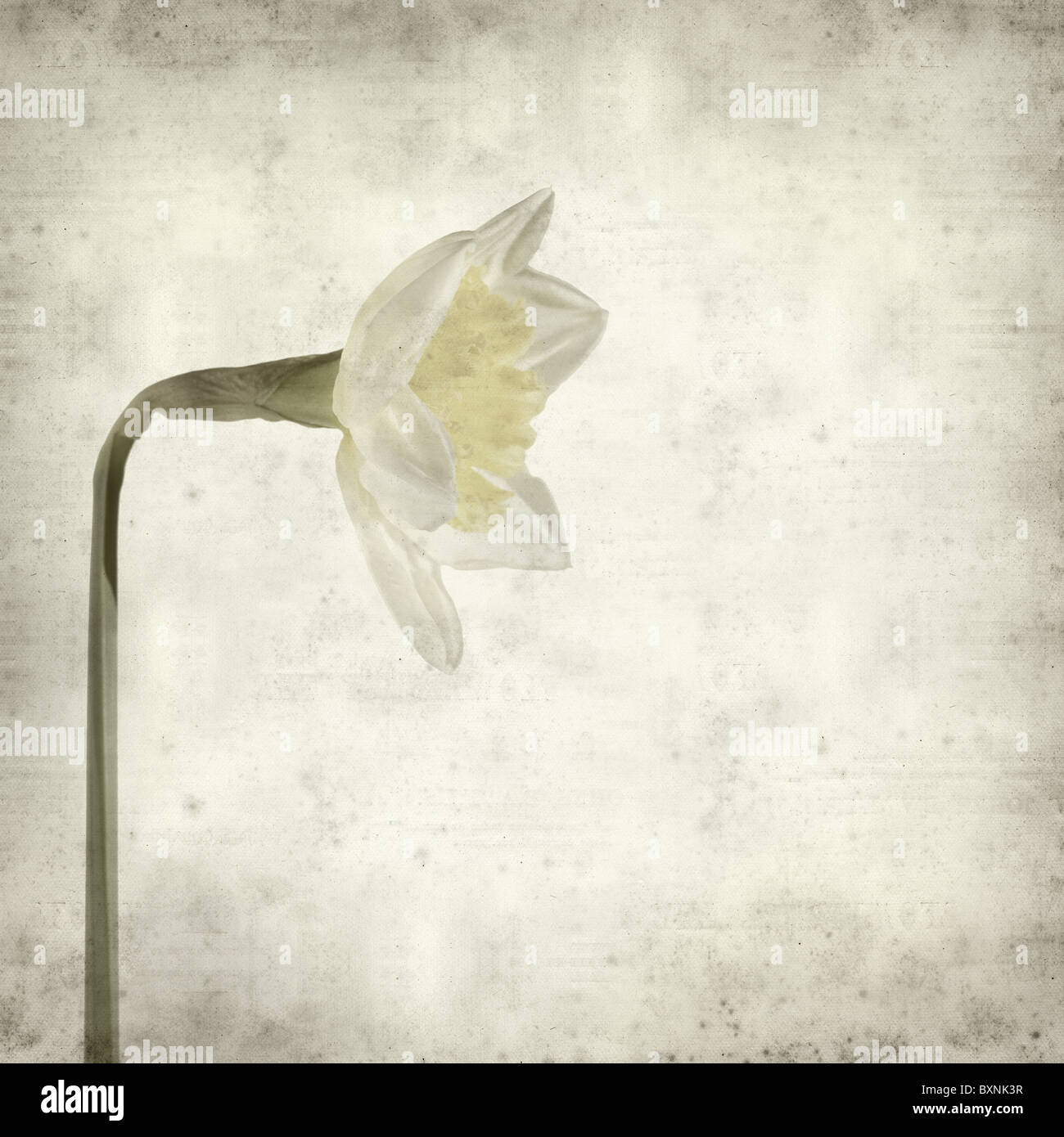 Aged old paper texture square format hi-res stock photography and ...