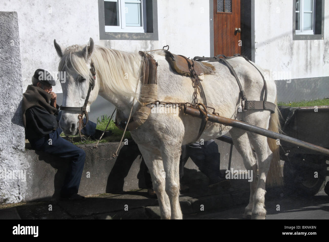 Old man carrying milk hi-res stock photography and images - Alamy