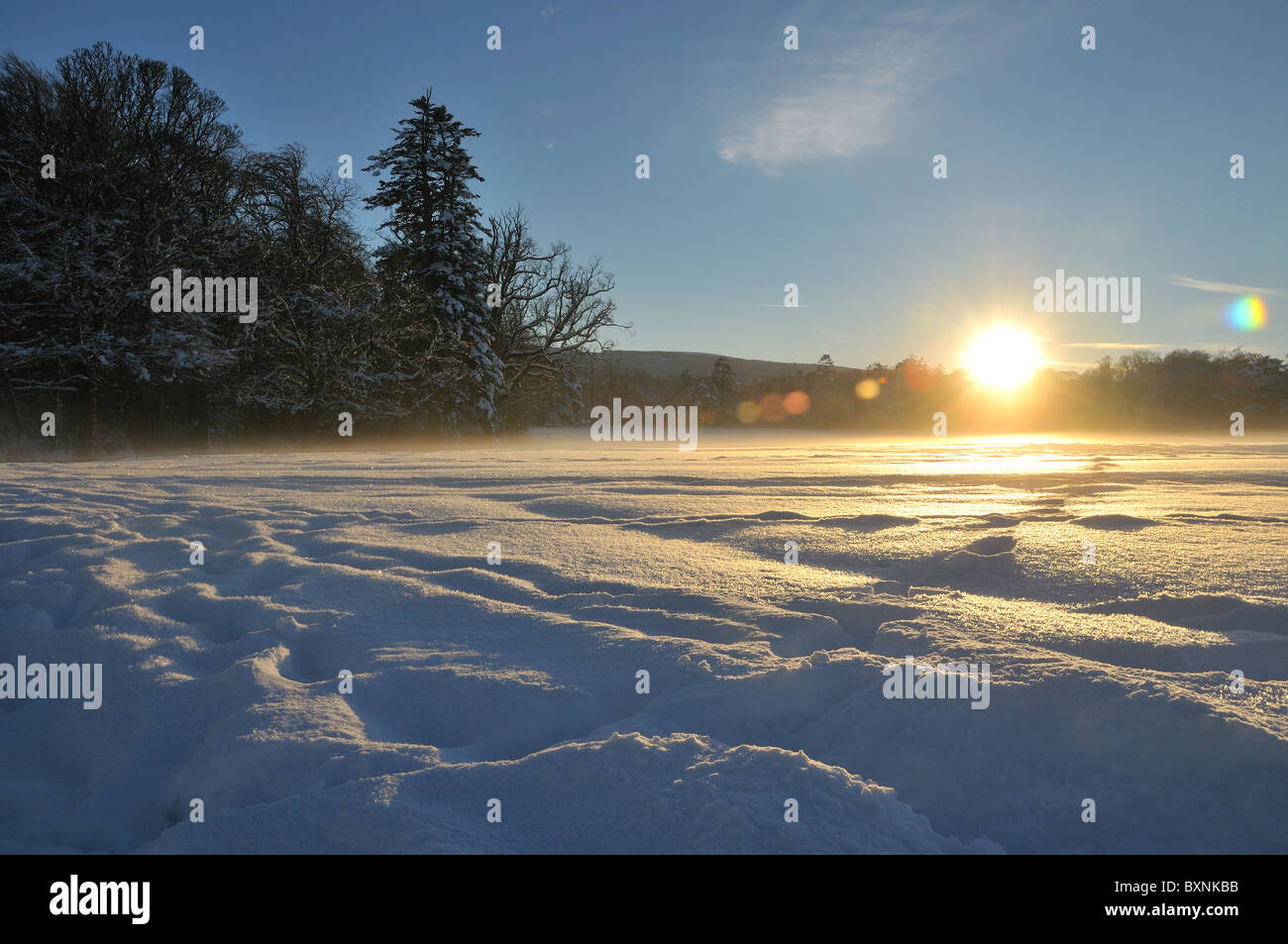 sunset at Marley park Stock Photo - Alamy
