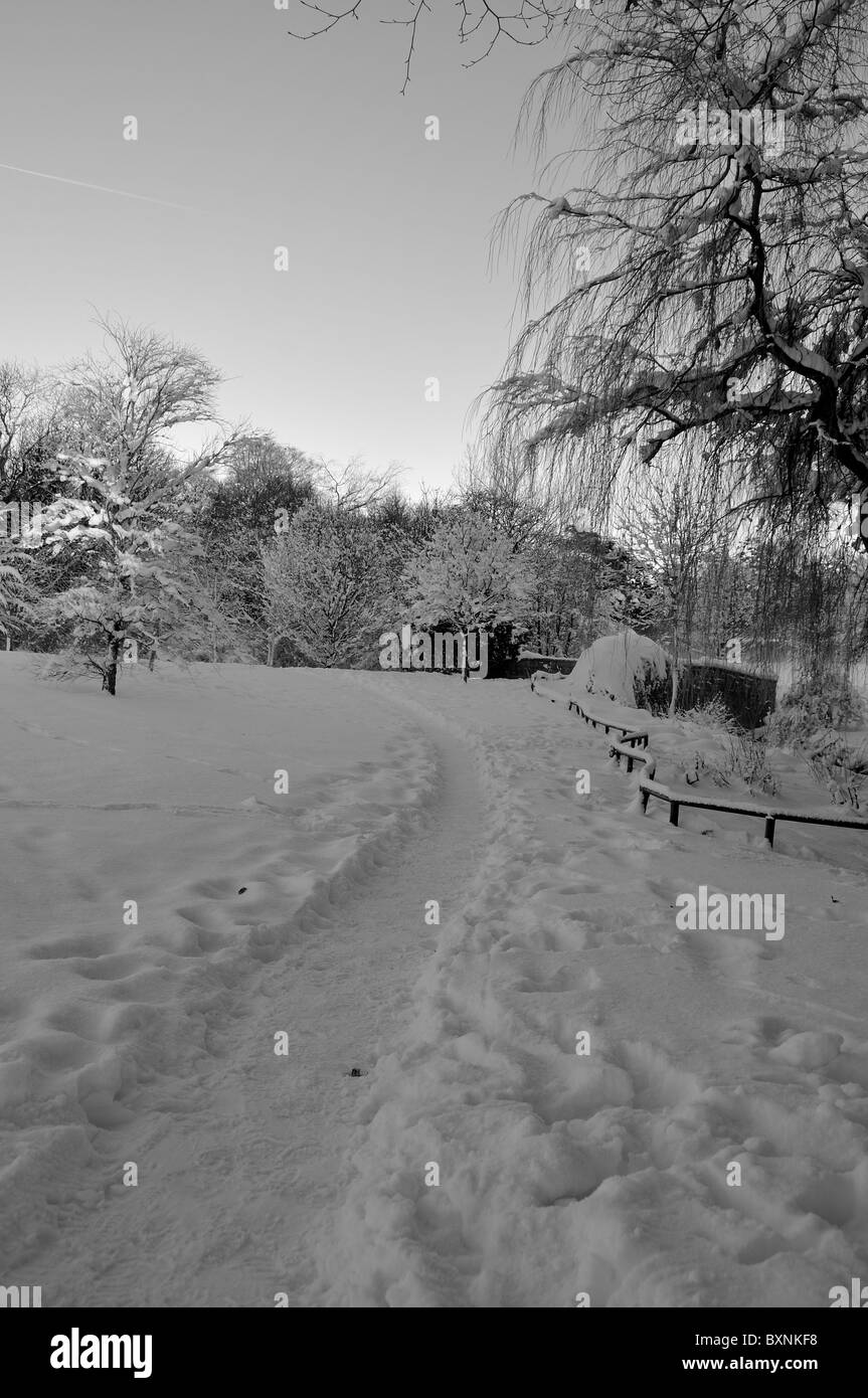 pathway in the snow - black and white Stock Photo - Alamy