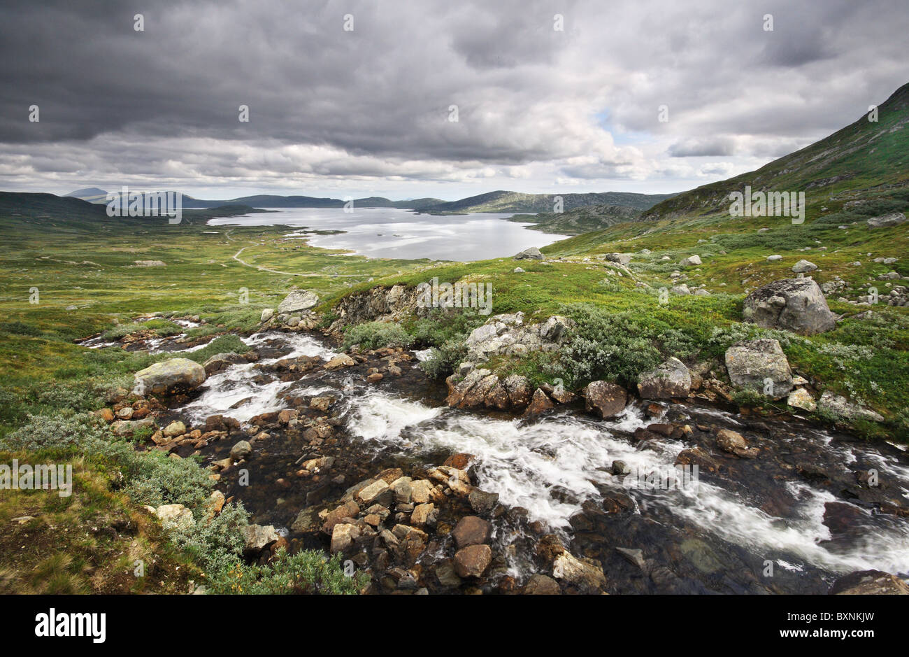 Norwegian countryside hi-res stock photography and images - Alamy