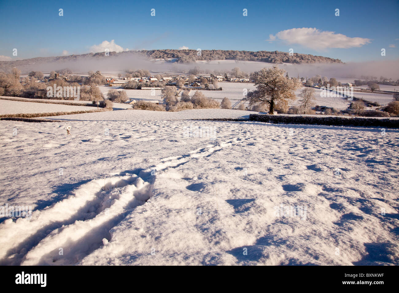 Rural devon hi-res stock photography and images - Alamy
