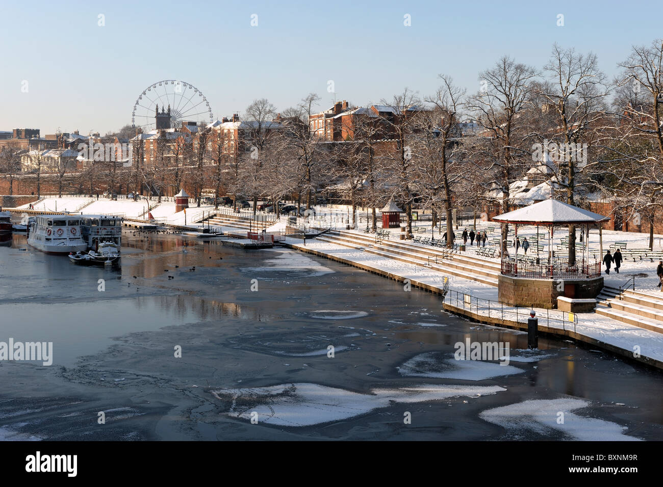 Groves the hi-res stock photography and images - Alamy