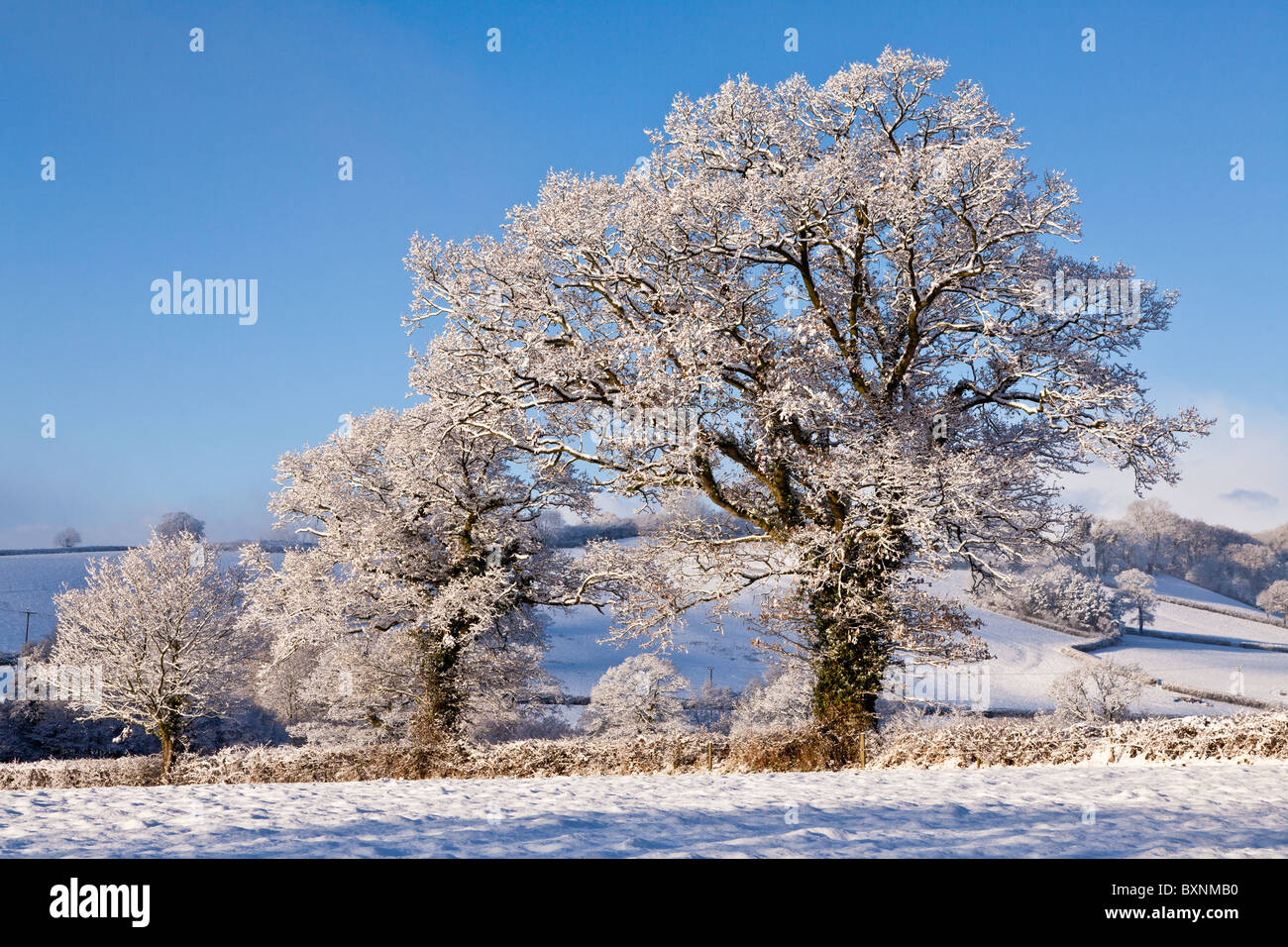Devon snow hi-res stock photography and images - Alamy
