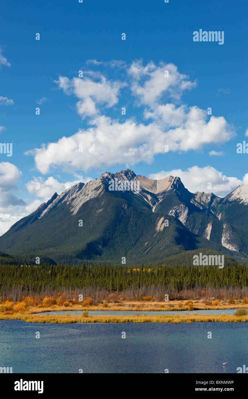 Snaring River, Jasper National Park, Alberta, Canada Stock Photo - Alamy