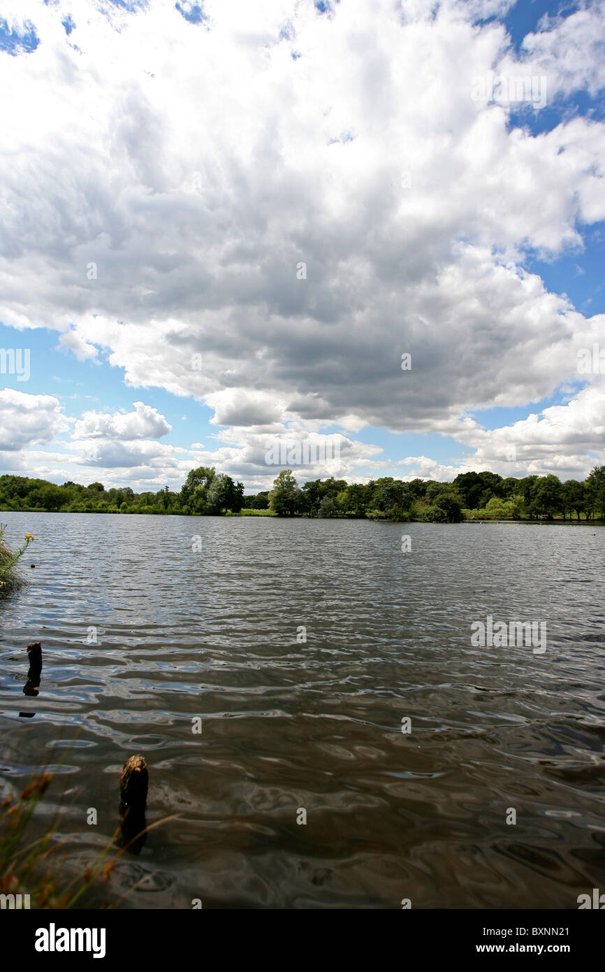 a lake in Richmond Park, London Stock Photo - Alamy