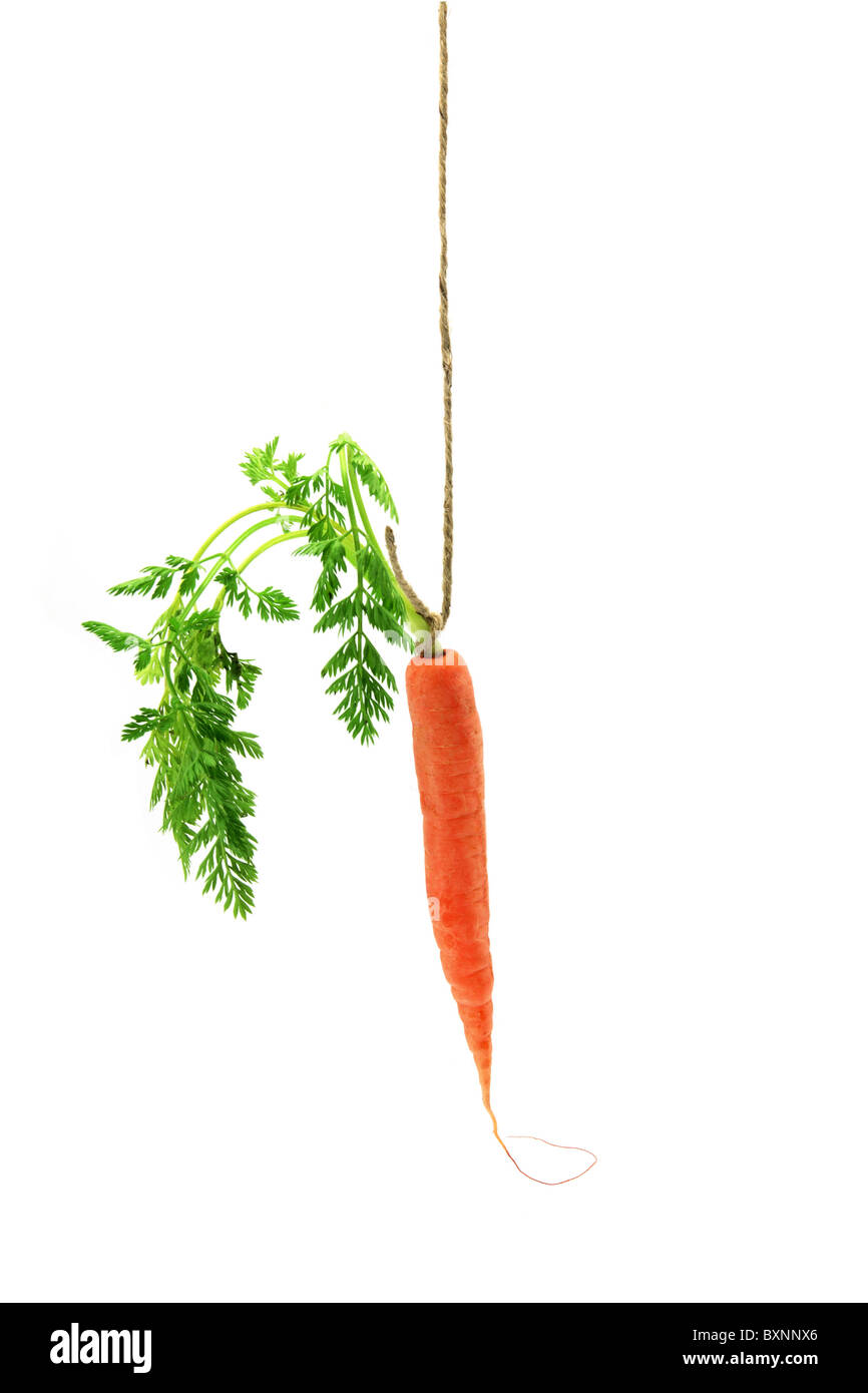 Hanging carrots hi-res stock photography and images - Alamy