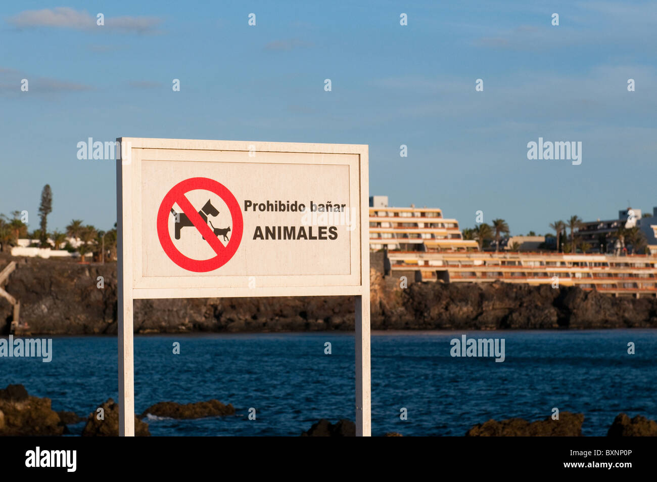 Tenerifes beach hi-res stock photography and images - Alamy