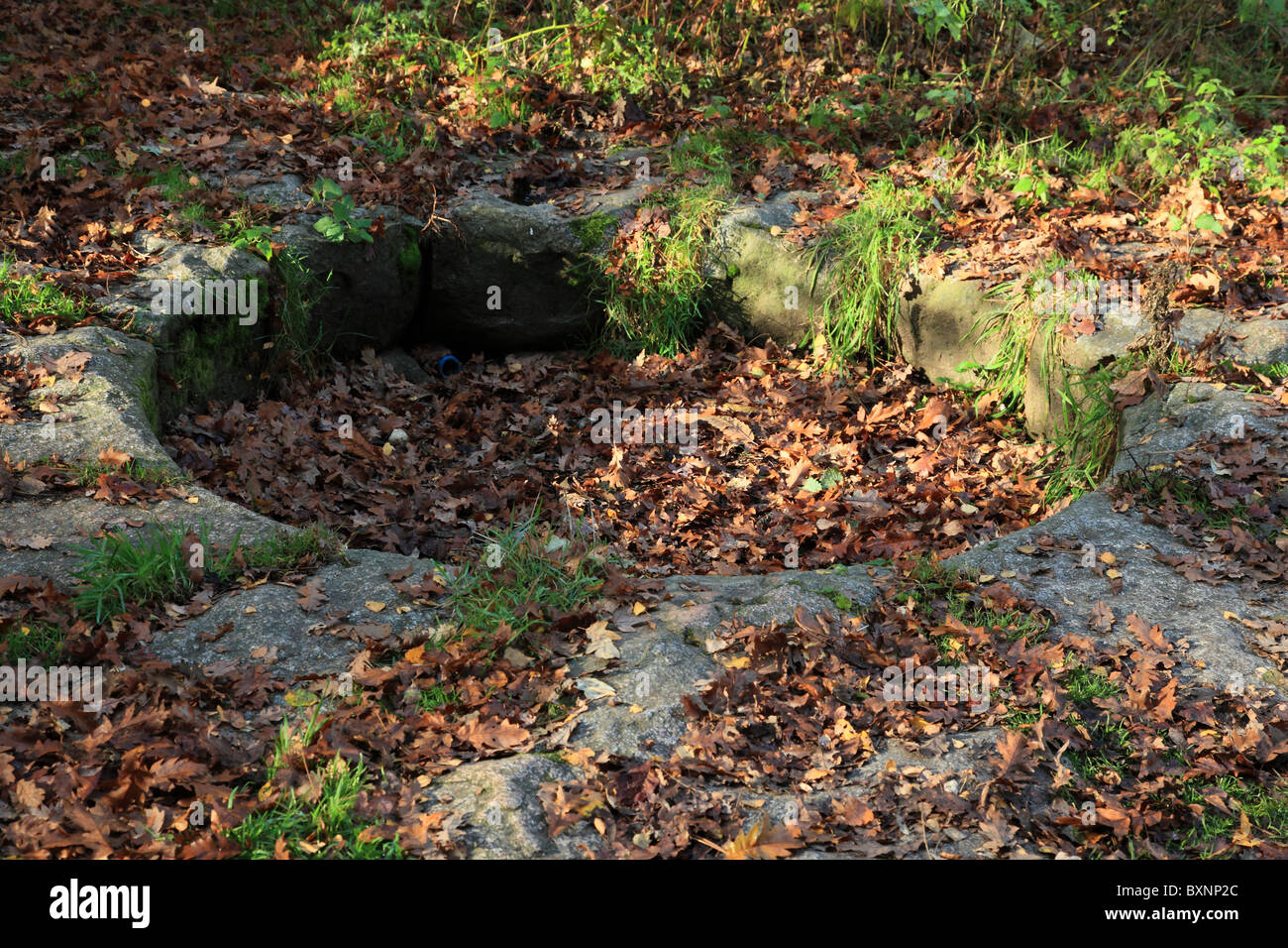 Caesar's Well, Wimbledon Surrey England Stock Photo - Alamy