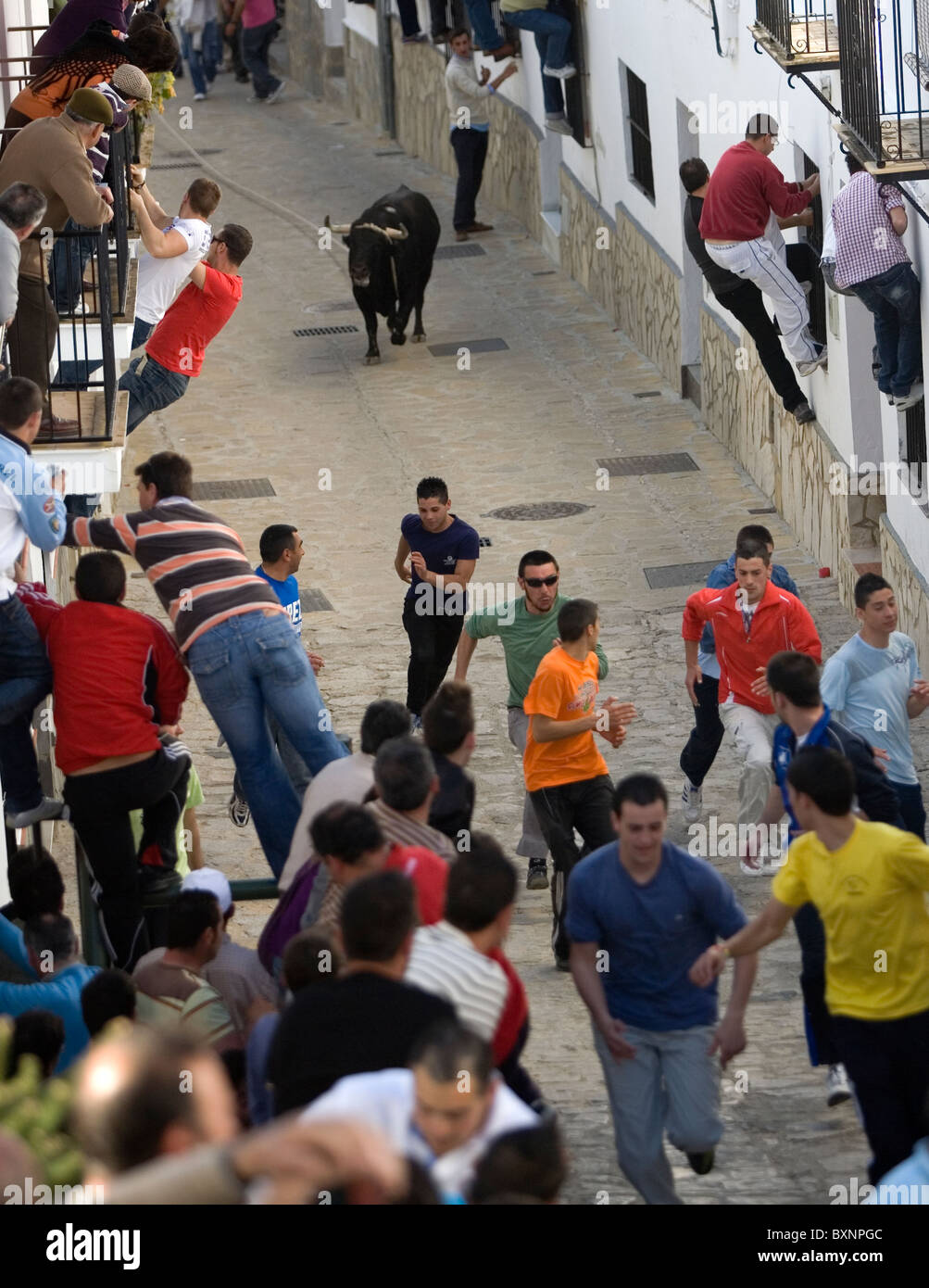 People fill a street during a fighting bull running loose at the annual ...