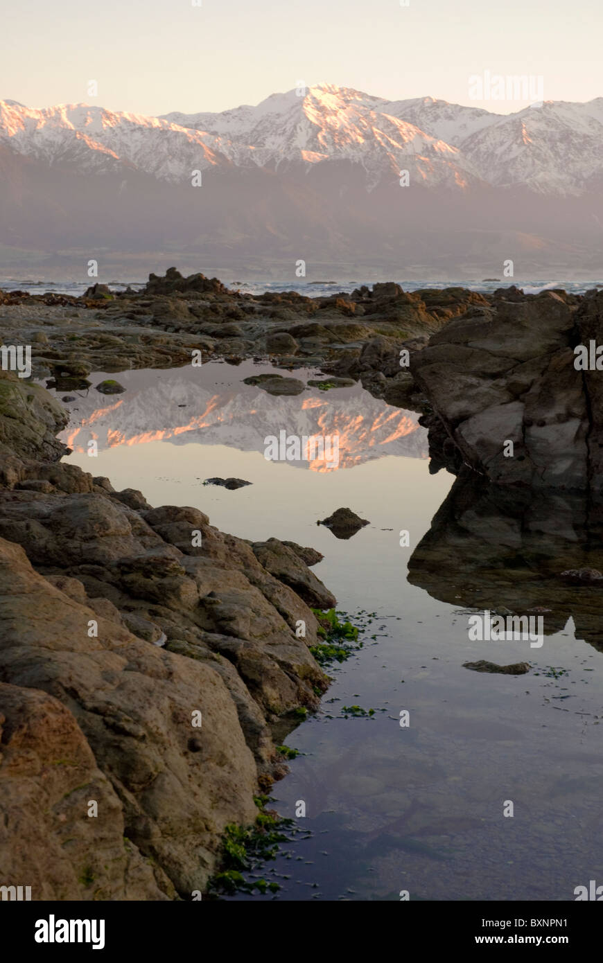Rock pool reflection of Kaikoura Ranges. Kaikoura, New Zealand Stock ...