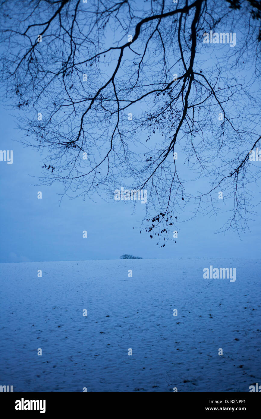 Bleak Landscape Stock Photos & Bleak Landscape Stock Images - Alamy