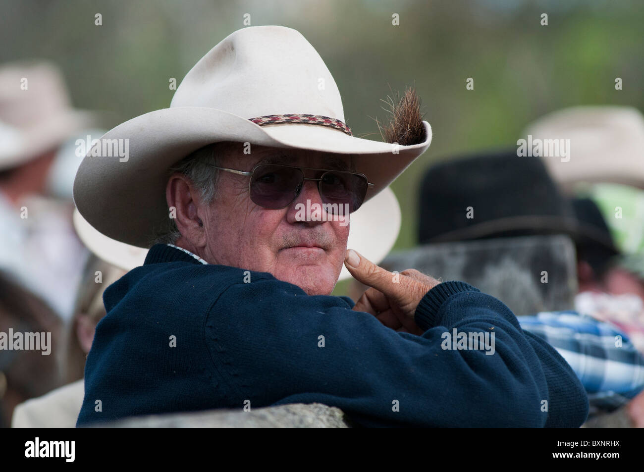 Australian cowboy watching the Ebor annual camp draft competition near ...