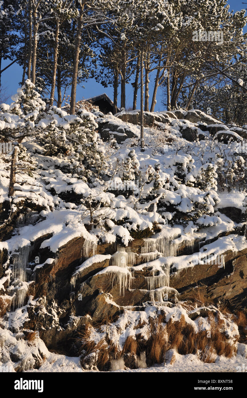 Small snow and ice-covered cliff, snow, winter, trees Stock Photo - Alamy