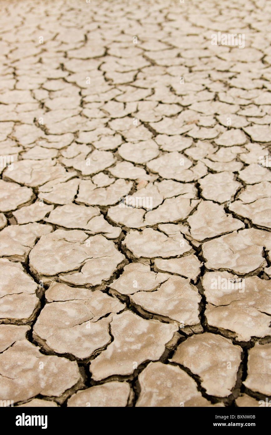 Background of very dry ground somewhere in desert Stock Photo - Alamy