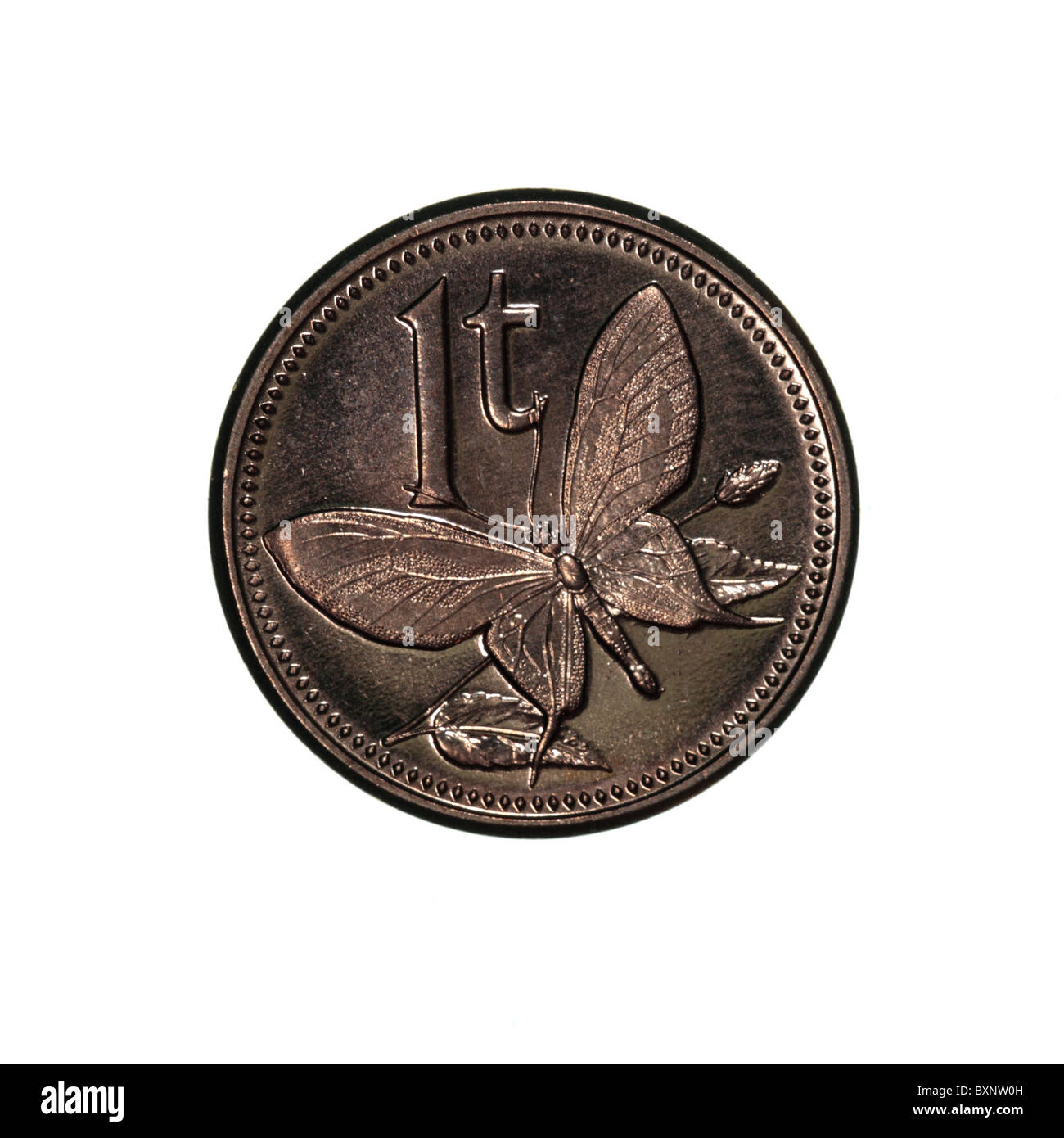 Papua new guinea kina hi-res stock photography and images - Alamy